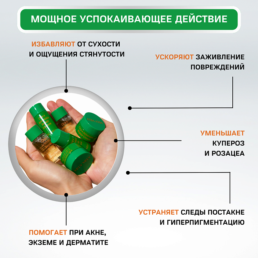 VELY VELY Дорожный набор с экстрактом полыни и центеллы Cica X ...